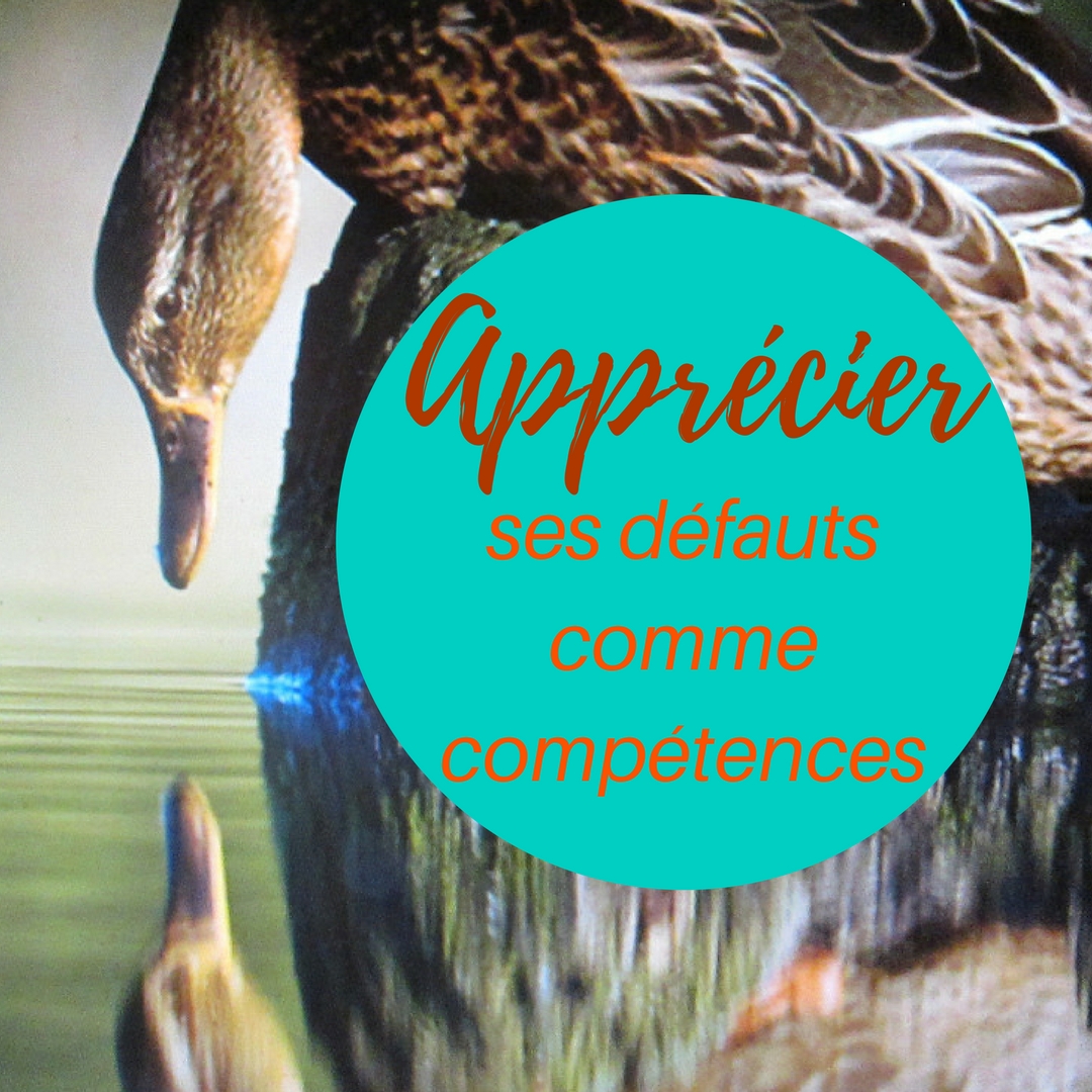 Apprécier ses défauts en tant que compétences - Femmes-Creatrices.com